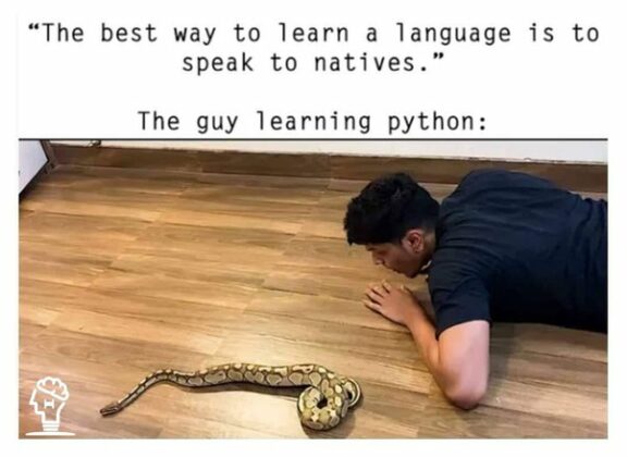 60 Best Funny Python Programming Memes - CodeItBro Blog