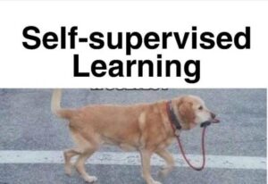 Best Data Science Memes (50 Funny Picks + Jokes)
